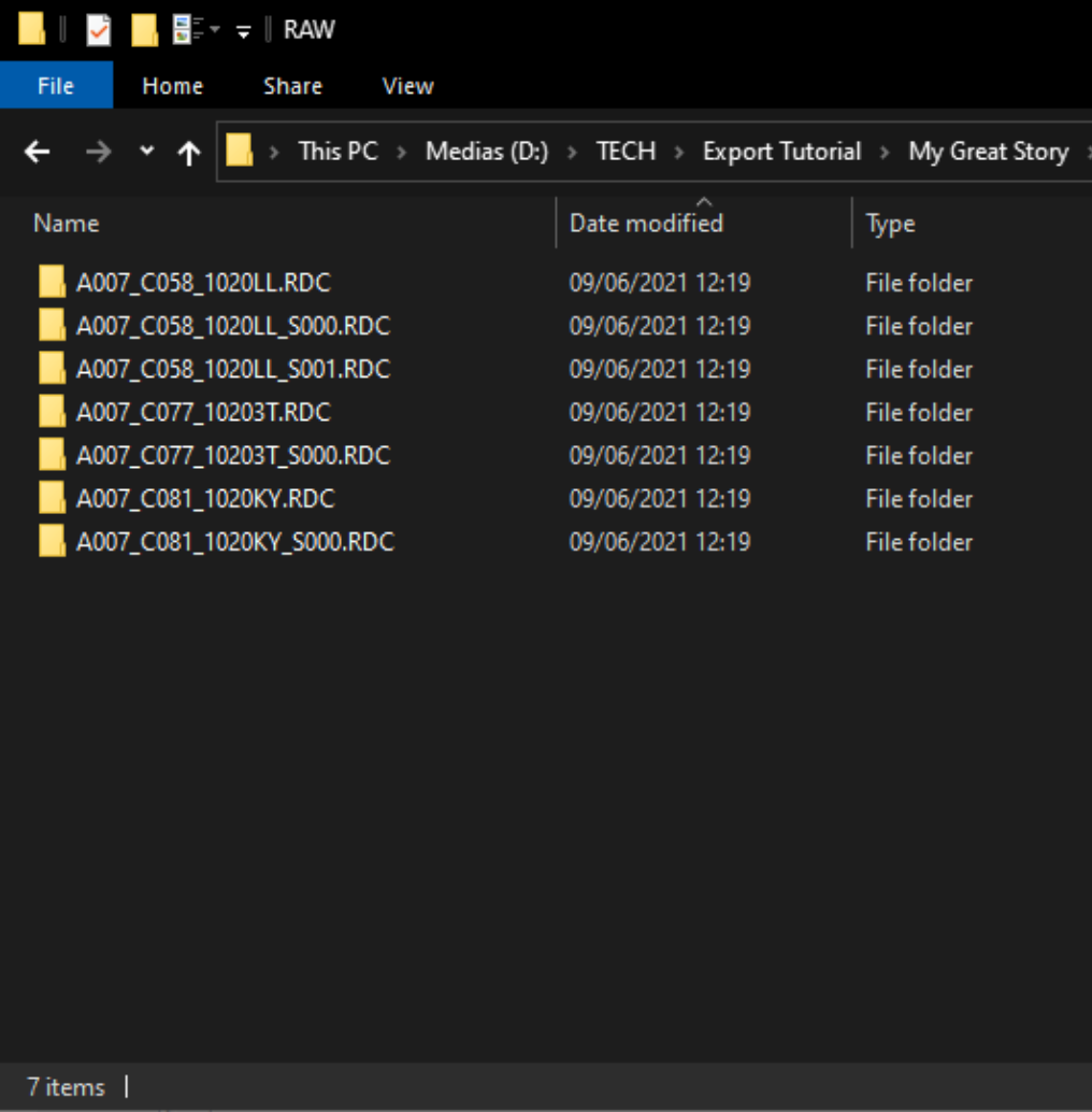 Resolve Part 4: Exporting RAW Files – Artlist